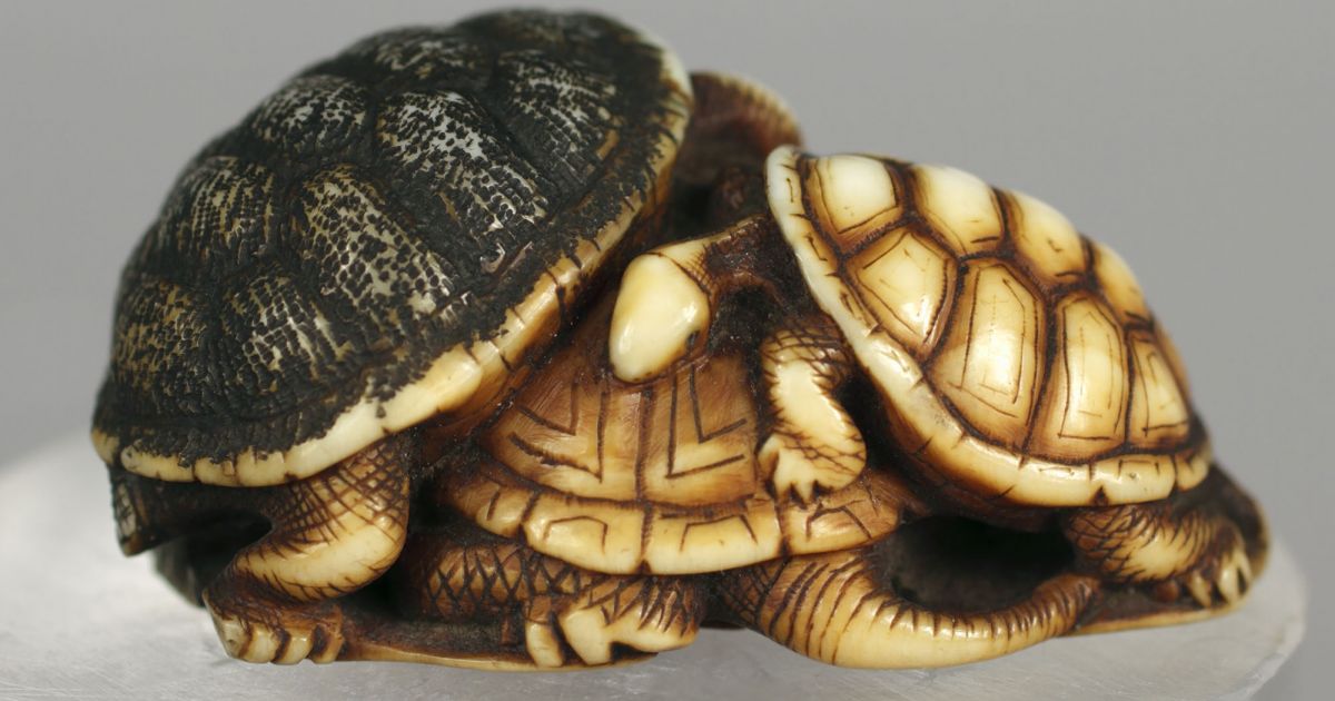 Three Turtles